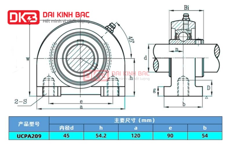 Gối Đỡ Vòng Bi UCPA 209