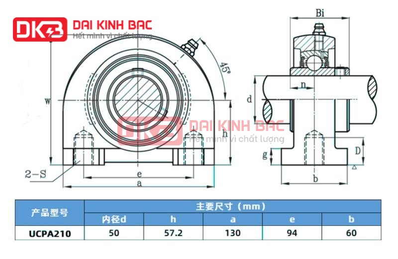 Gối Đỡ Vòng Bi UCPA 210