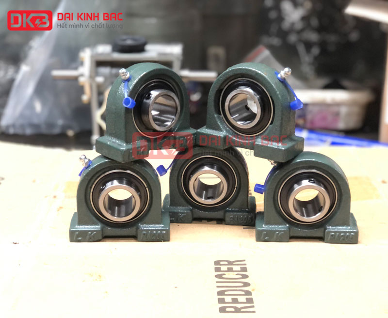 Gối Đỡ Vòng Bi UCPA 210