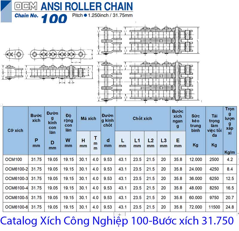 Xích công nghiệp 100 - Bước xích 31.750